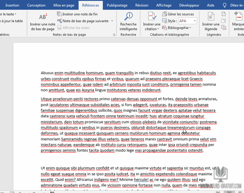Tutoriel Word : comment insérer des notes de bas de page à la fin du ...